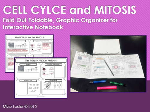 Cell Cycle and Mitosis Bundle: Power Point and Graphic Organizer ...