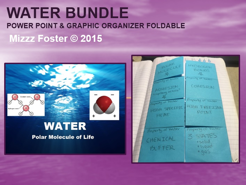 Water Bundle: Power Point and Graphic Organizer | Teaching Resources