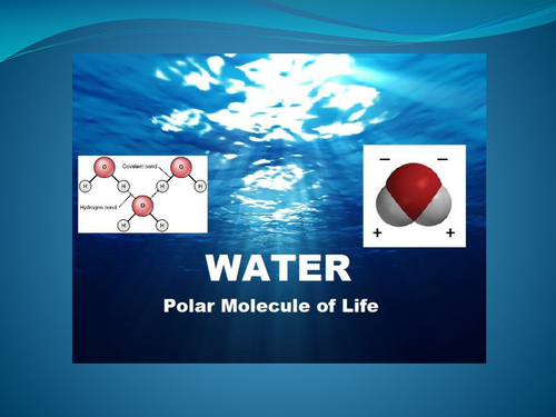 Water Bundle: Power Point and Graphic Organizer | Teaching Resources