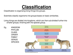 GCSE Biology - Classification ppt & worksheets by JAM2015 - Teaching ...