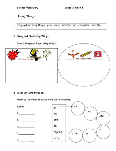 Living Things worksheet Year 3 | Teaching Resources