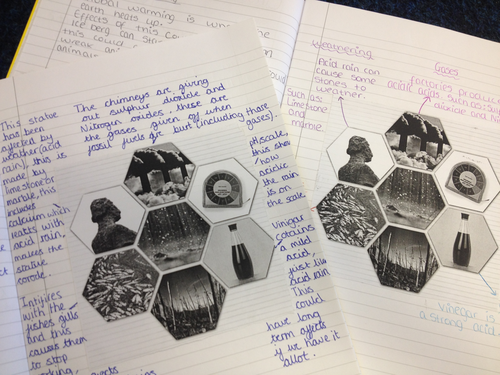 Visual hexagons for AQA Core Biology topics | Teaching Resources
