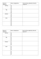 Competition and Adaptation | Teaching Resources