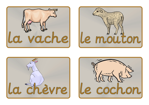 French Display Vocabulary Bundle | Teaching Resources