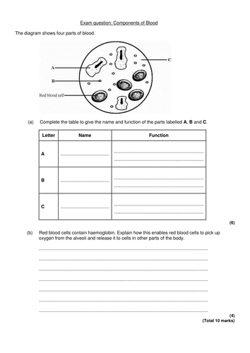 Blood components and circulatory system | Teaching Resources