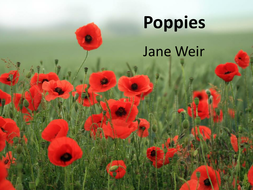 WAR POETRY Poppies by Jane Weir | Teaching Resources
