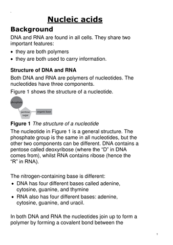 AQA A level Biology New spec Year 1 DNA | Teaching Resources