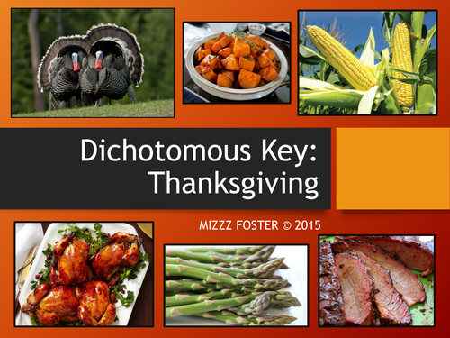 Dichotomous Key: Thanksgiving | Teaching Resources