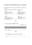 OCR A2 Level Biology - Excretion | Teaching Resources