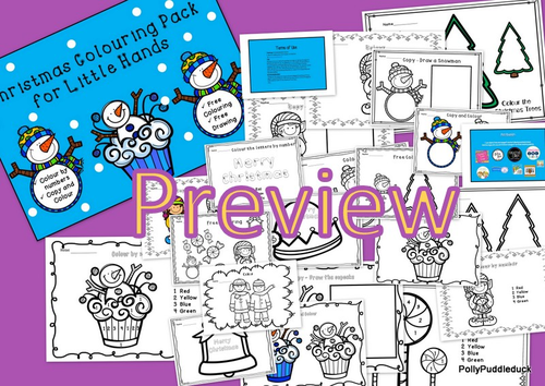 Christmas/Winter Themed Busy Book | Teaching Resources