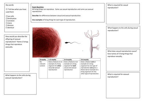 QWC Writing Frame with picture prompt - Sexual Vs Asexual Reproduction ...