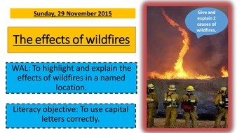 Effects of wildfires | Teaching Resources
