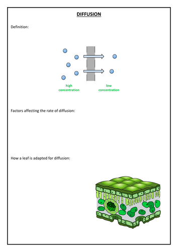 Diffusion and osmosis GCSE | Teaching Resources