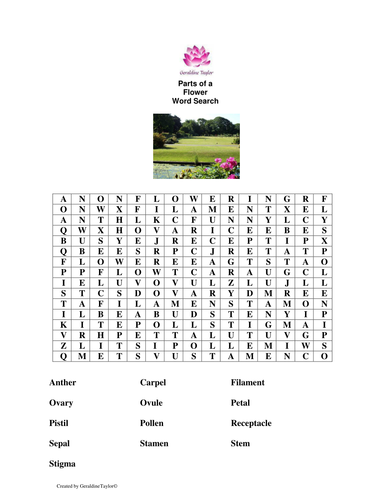 Parts of a Flower Word Search | Teaching Resources