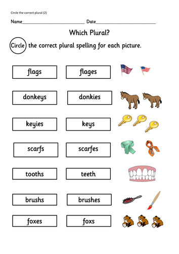 Write Singular Nouns into Plural Nouns Spellings and Vice Versa ...