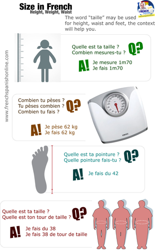 Body Size in French | Teaching Resources