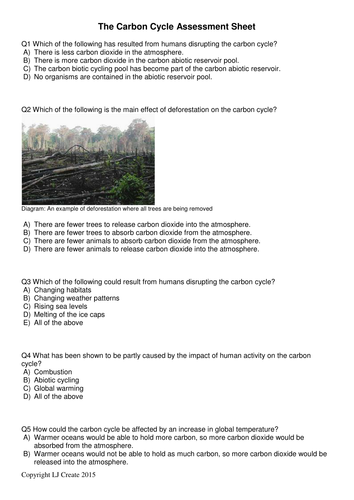 The Carbon Cycle | Teaching Resources