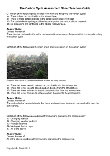 The Carbon Cycle | Teaching Resources