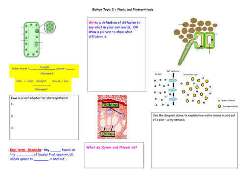 GCSE/KS3 Biology Revision (Cells, Inheritance, Health, Plants ...