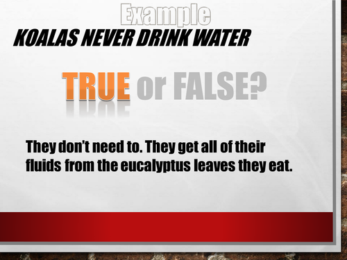 Ready to use, form time fun. Quizzes and activities galore in big ...