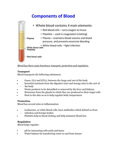 components and functions of blood | Teaching Resources