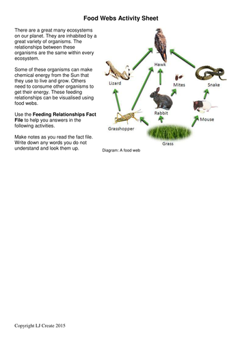 Food Webs (Complete lesson resources) | Teaching Resources