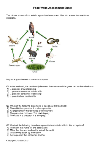 Food Webs (Complete lesson resources) | Teaching Resources