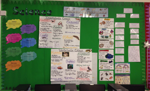 Year 6- Living things and their habitats- COMPLETE unit of work ...