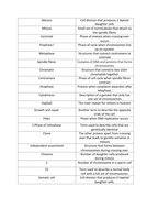 Mitosis Meiosis Loop Game | Teaching Resources