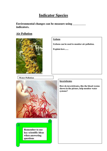 GCSE CORE AQA Biology - Adaptations, competition & Indicator species ...