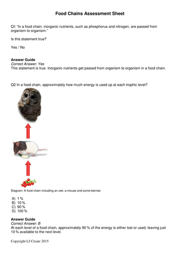 Food Chains | Teaching Resources