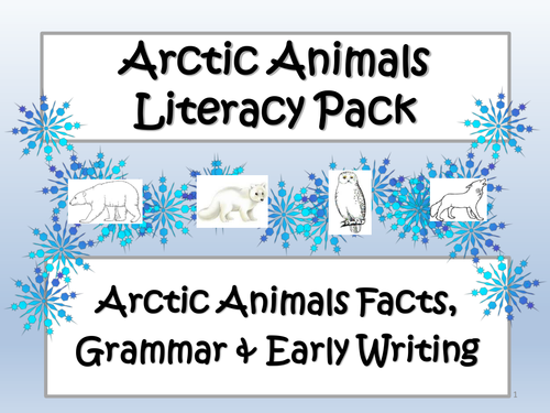 Winter Literacy Tasks & Activities | Teaching Resources