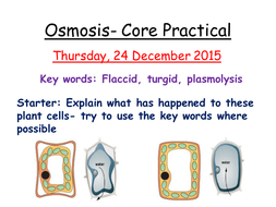 Osmosis- New AQA GCSE Spec | Teaching Resources