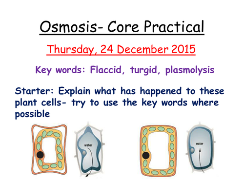 Osmosis- New AQA GCSE Spec | Teaching Resources
