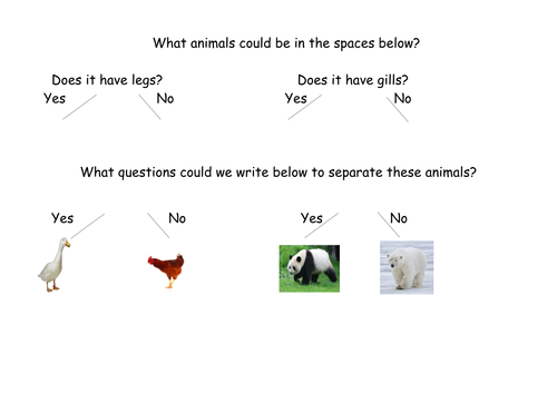 Using Sorting Branch Diagrams (full lesson) | Teaching Resources