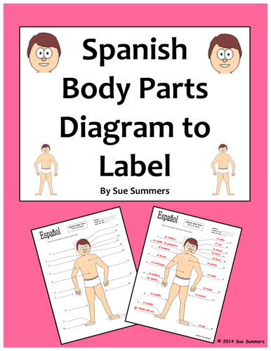 Spanish Body Parts Diagram to Label with 20 Body Parts | Teaching Resources