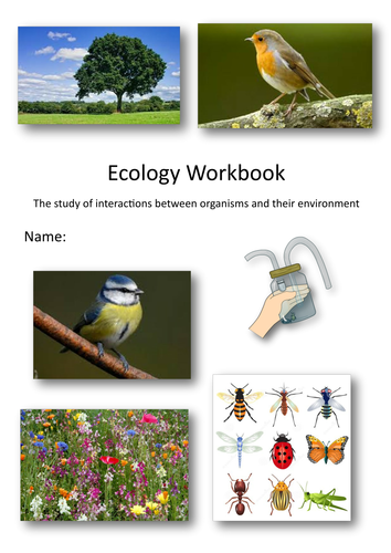 Ecology Wildlife Hunt | Teaching Resources