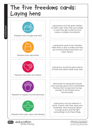 Lesson Plan - Farm animals - RSPCA Assured Farms by RSPCA - UK Teaching ...