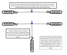 GCSE Physics P2 - Resultant Forces | Teaching Resources