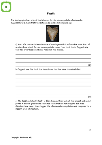 GCSE Biology worksheets | Teaching Resources