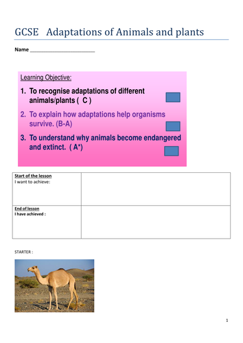GCSE Adaptation lesson Outstanding | Teaching Resources