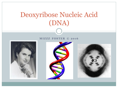 DNA and RNA Bundle: 2 Power points and 2 Graphic Organizer Foldables ...