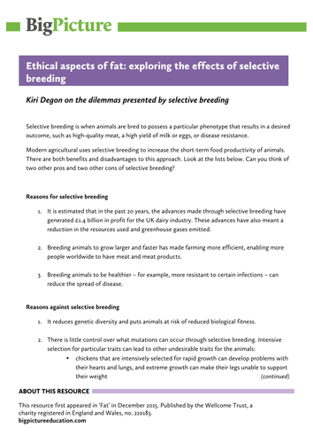 Article And Ethical Debate Questions Exploring The Effects Of