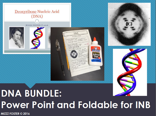 DNA Bundle: Power point with Foldable for Interactive Notebook ...