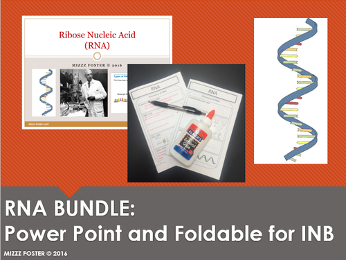 RNA Bundle: Power Point and Graphic Organizer for Interactive Notebook ...