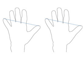 KS1 Maths Measurement: LENGTH & HEIGHT powerpoints, activities ...