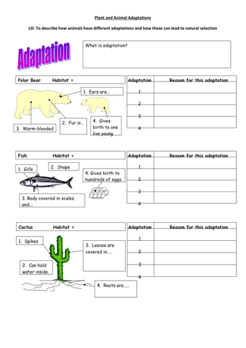 7C Environment and Feeding Relationships Scheme of Work | Teaching ...