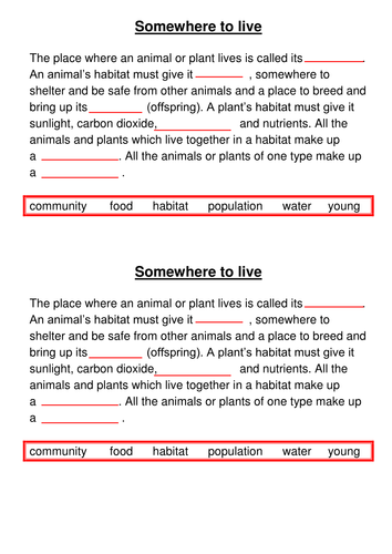 7C Environment and Feeding Relationships Scheme of Work | Teaching ...