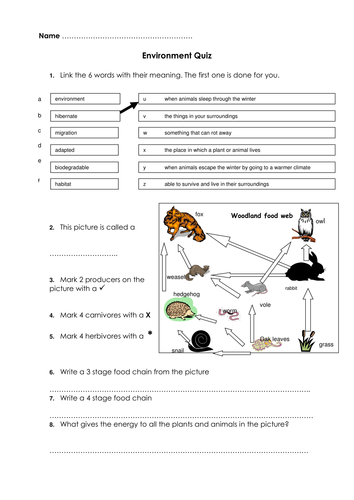 7C Environment and Feeding Relationships Scheme of Work | Teaching ...