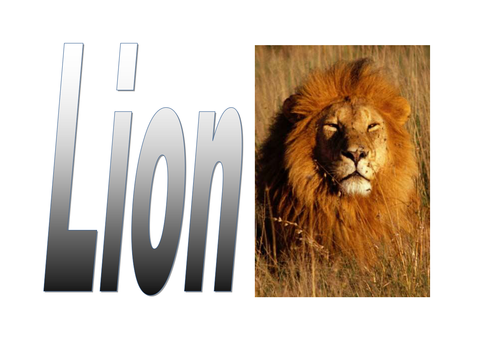 7C Environment and Feeding Relationships Scheme of Work | Teaching ...